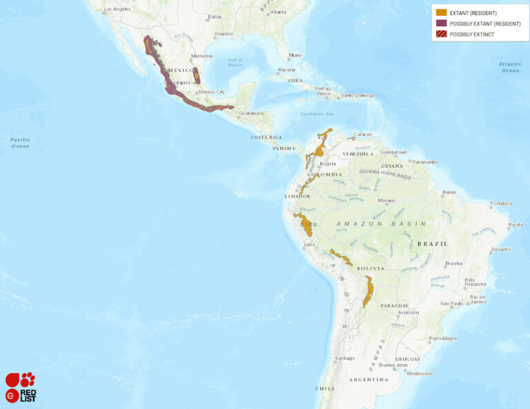 Military Macaw - Cougar Mountain Zoo