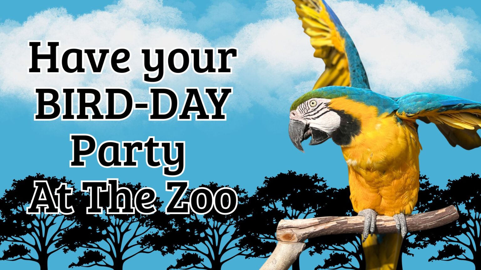 Birthday Parties at the Zoo - Cougar Mountain Zoo